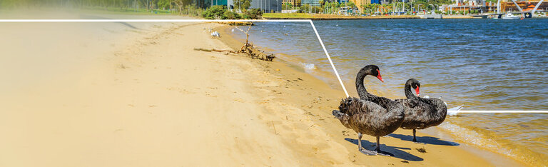 Waste disposal Perth // REMONDIS Australia